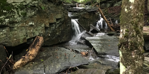 Stil Studio Stil Studio